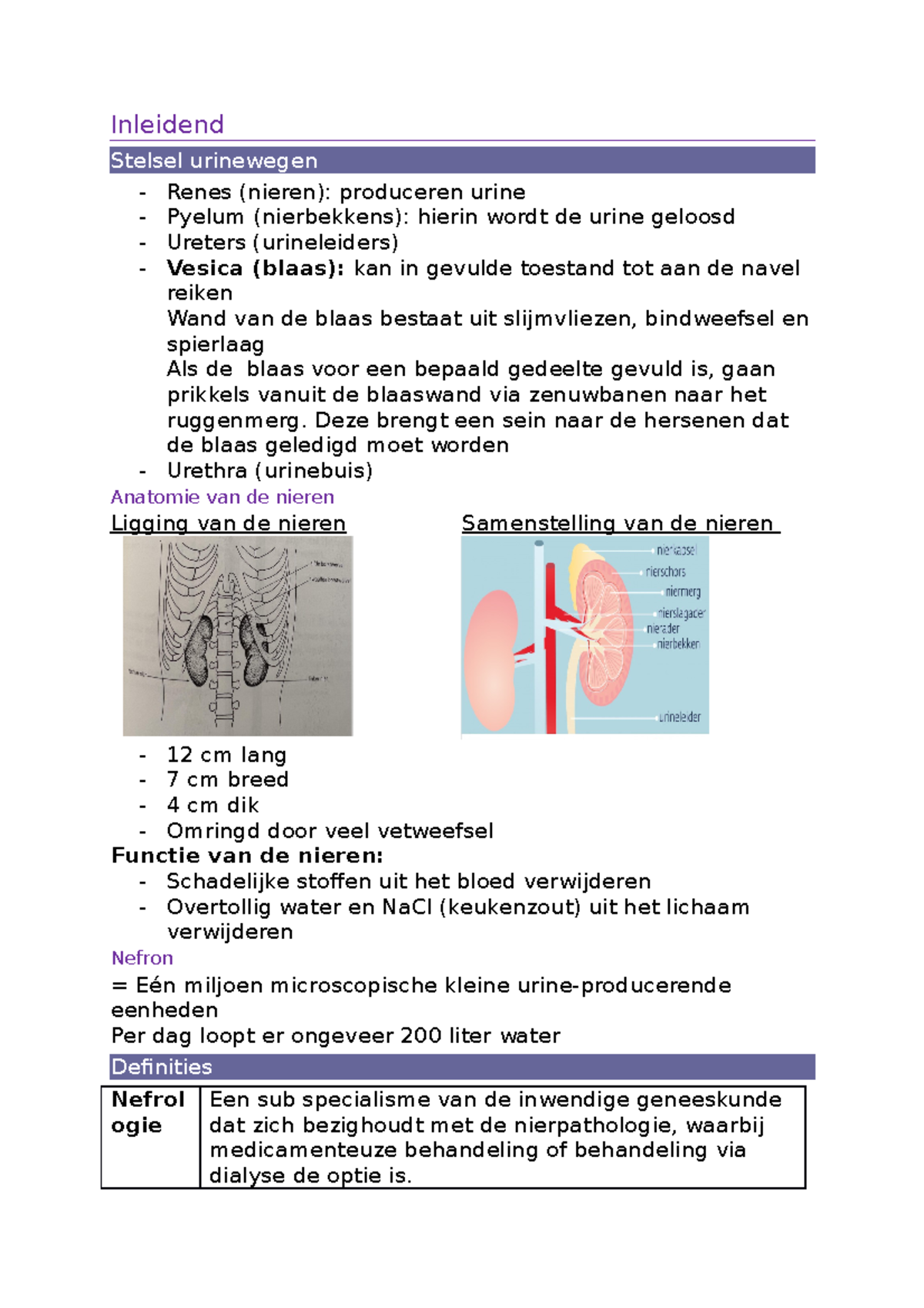 VRHv Pathologie en Anatomie van Urologie - Studocu