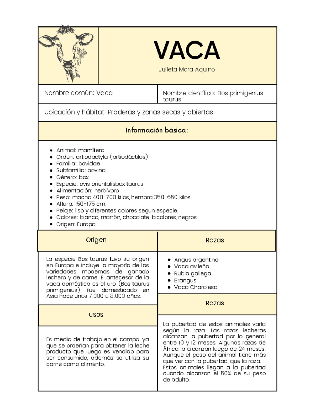 Ficha taxonomica basica de la vaca - Animal: mamífero Orden: artiodactyla (artiodáctilos ...