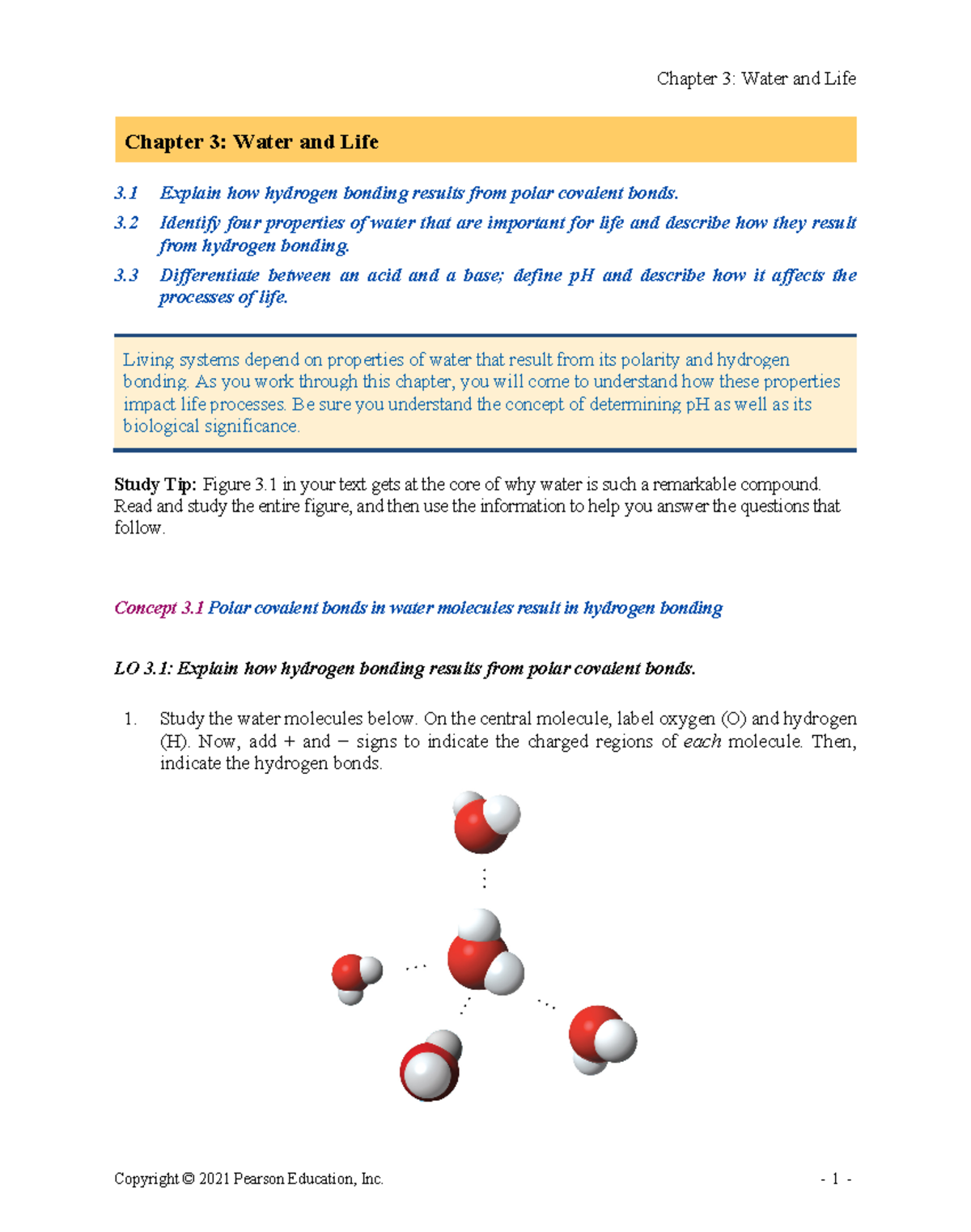 Chapter 3 Study Guide: Water Properties and Life Principles - Studocu