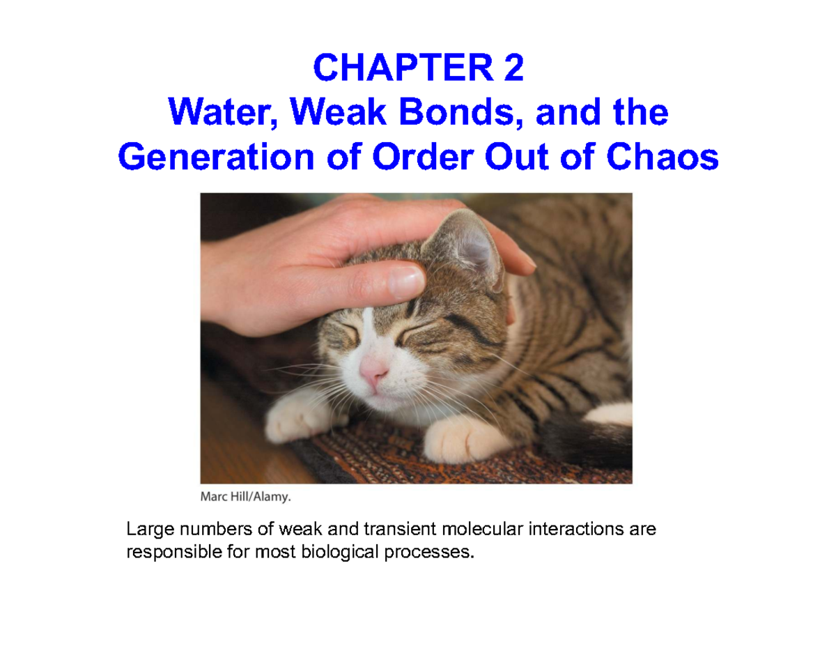 BMSC 2: Lecture Notes on Water, Weak Bonds, and Biological Order - Studocu