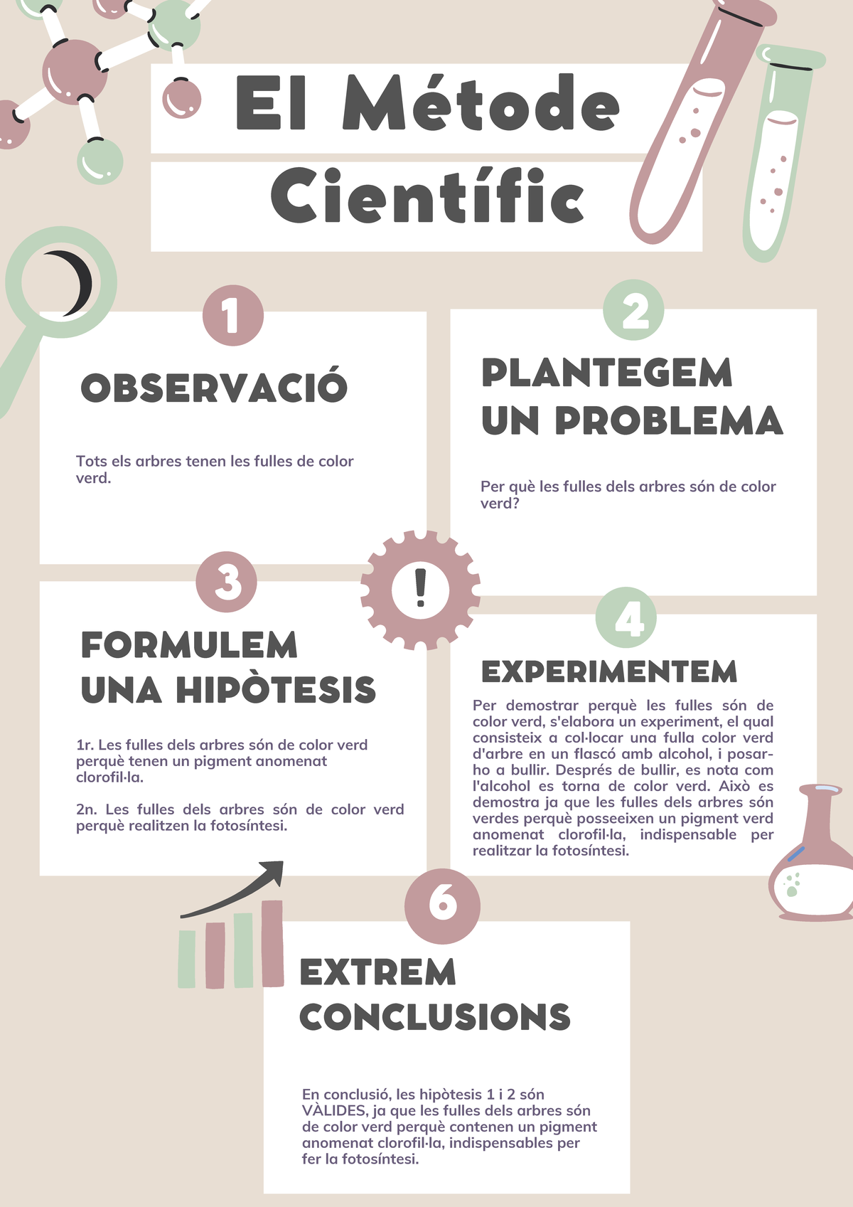 Informes sobre el mètode científic: passos i experiència (Pòster) - Studocu