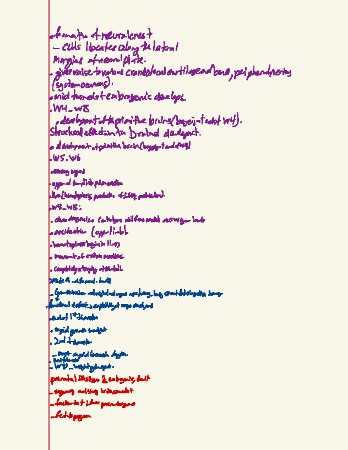 Development of Neural Crest & Primitive Brain: Embryonic Insights (W5 ...