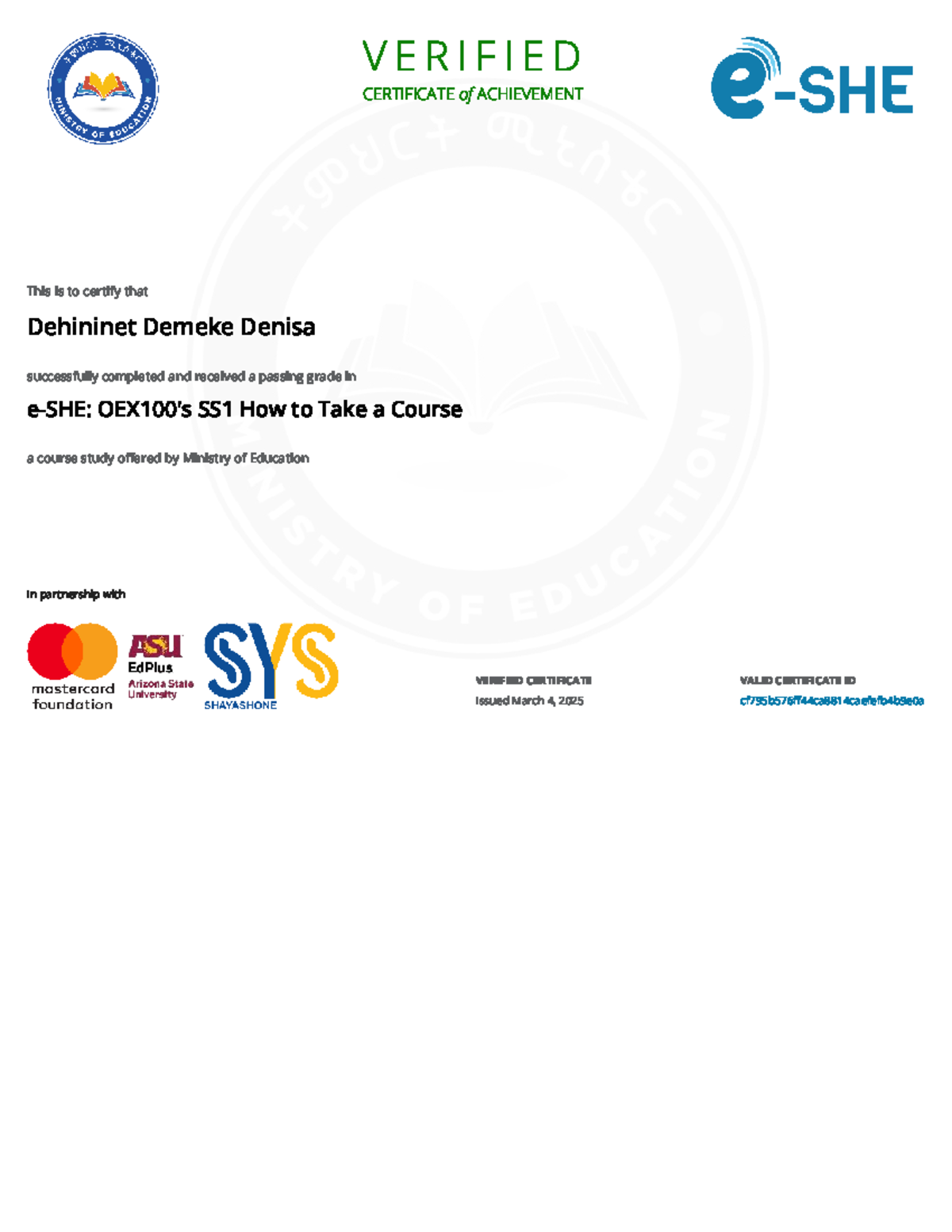 E-SHE OEX100 Certificate Mizan-Tepi University - Introduction to Finite ...