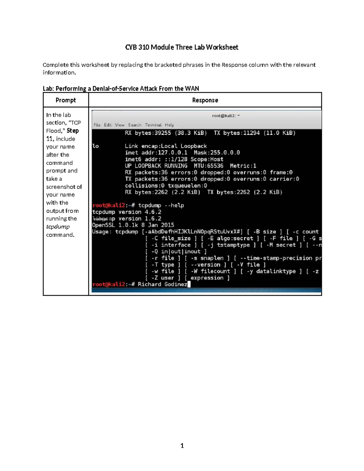 CYB 310 Module 3 Lab Worksheet: Network Attack Analysis and Tools - Studocu