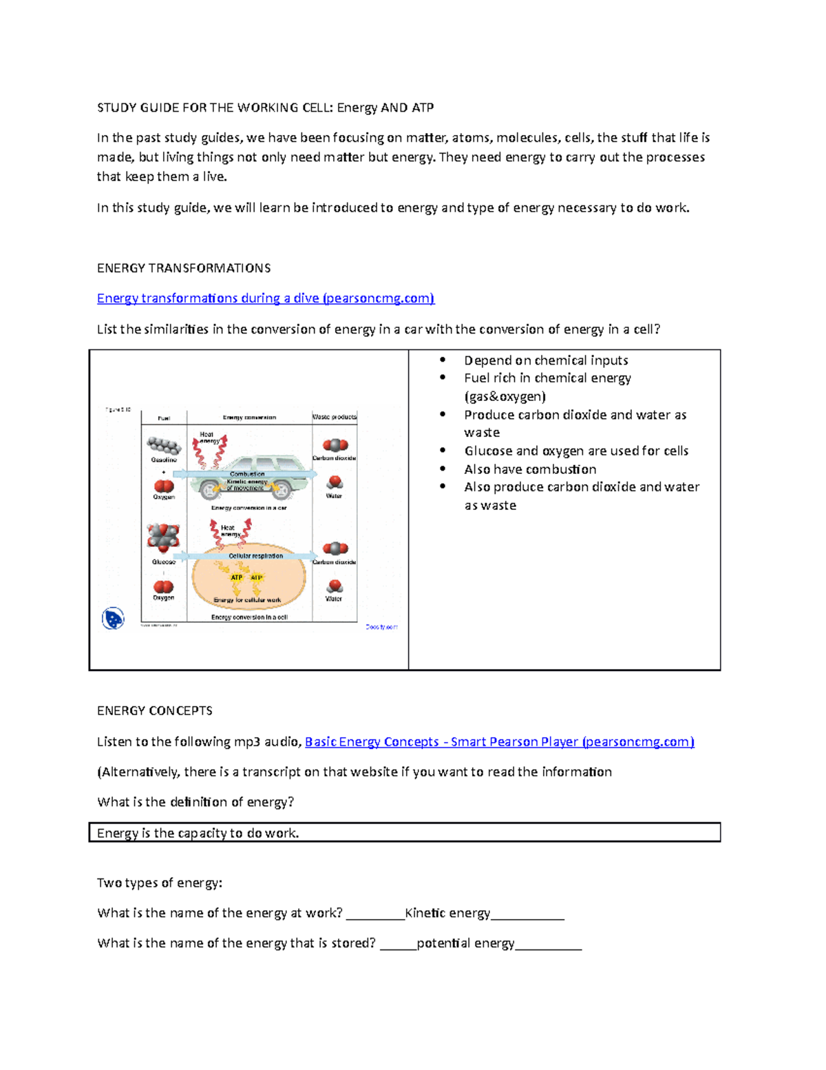 Study guide working cell-1 - STUDY GUIDE FOR THE WORKING CELL: Energy AND ATP In the past study ...