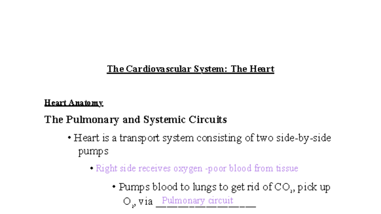 The Cardiovascular System (BIO 101): Heart Anatomy and Function - Studocu