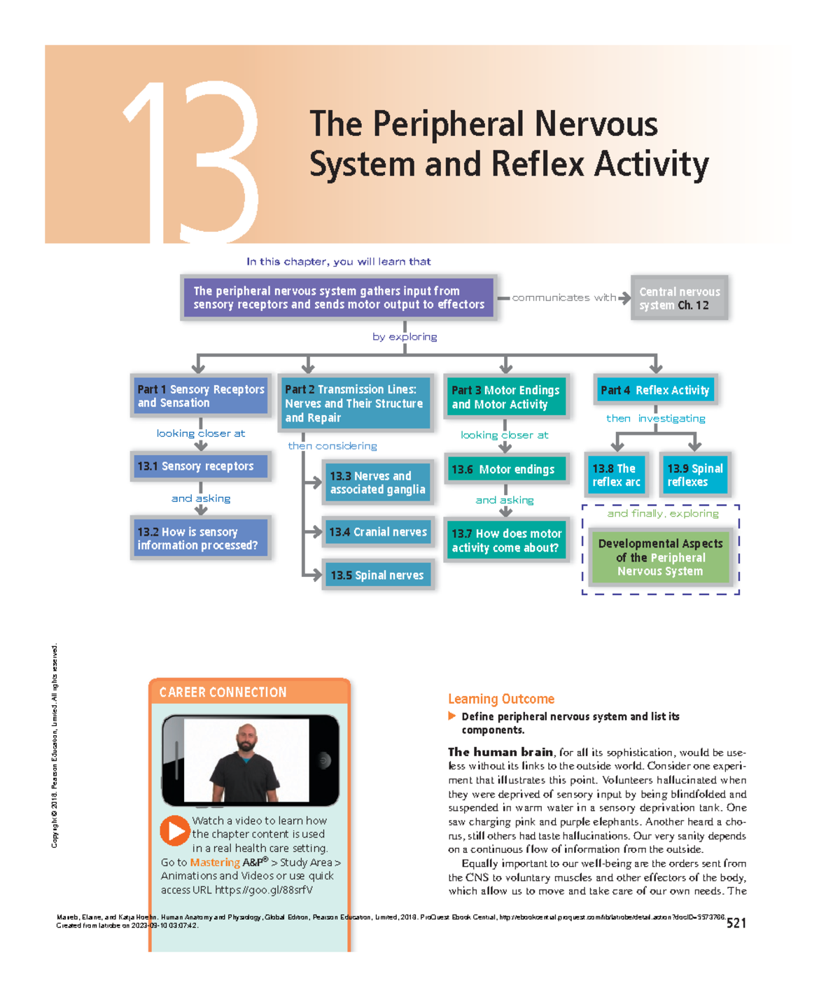 Peripheral Nervous System and Reflex Activity Overview (Pg 522-541 ...