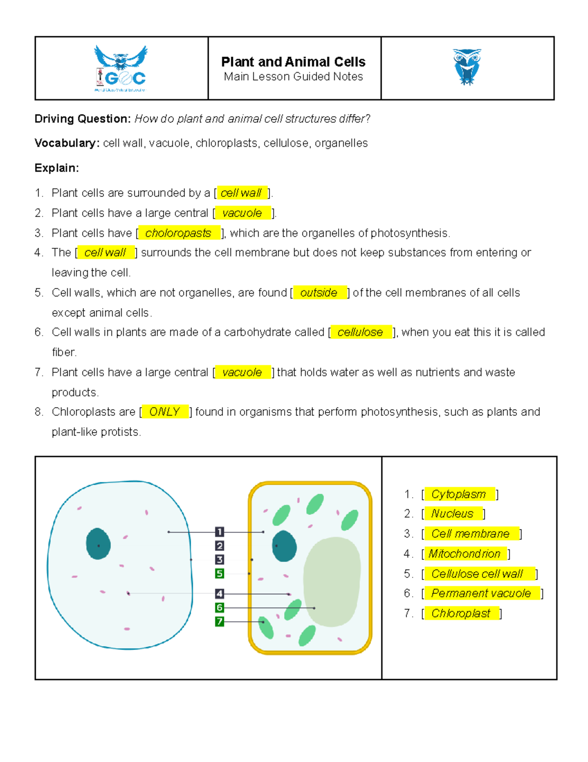BIOL 101: Guided Notes on Plant and Animal Cell Structures - Studocu