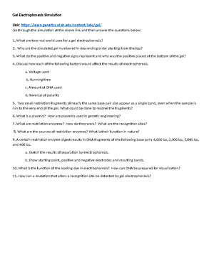 Jordan Dischinger Smedes Apes unit 7 Fillin Notes - 7 KLV SURGXFW LV ...