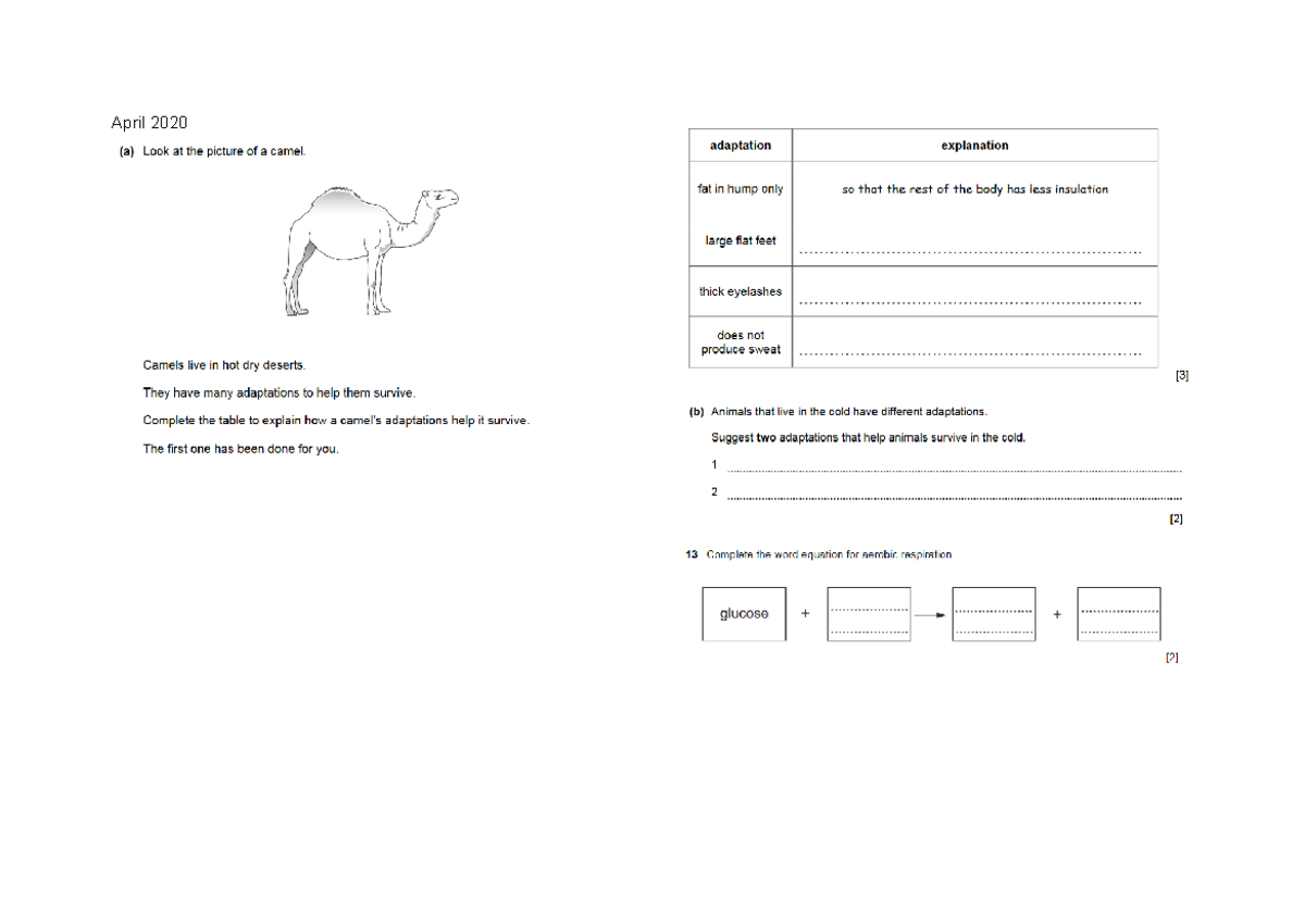 Chapter 4 Year 8 WS - Cambridge Checkpoint Science Adaptations ...