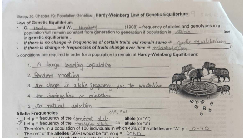 Biology 30: Chapter 19 & 20 - Population Genetics & Communities ...