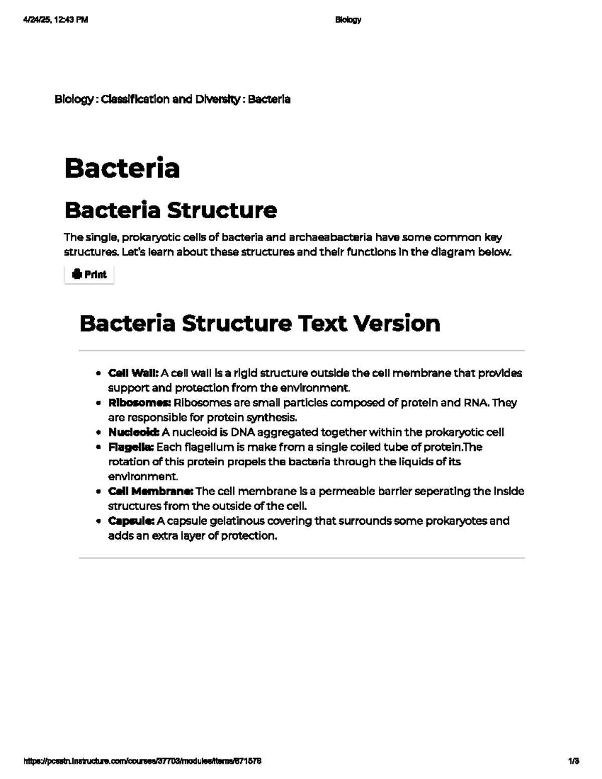 Bacterial Structures and Functions - Course Code: 06.02 - 12:43 PM ...