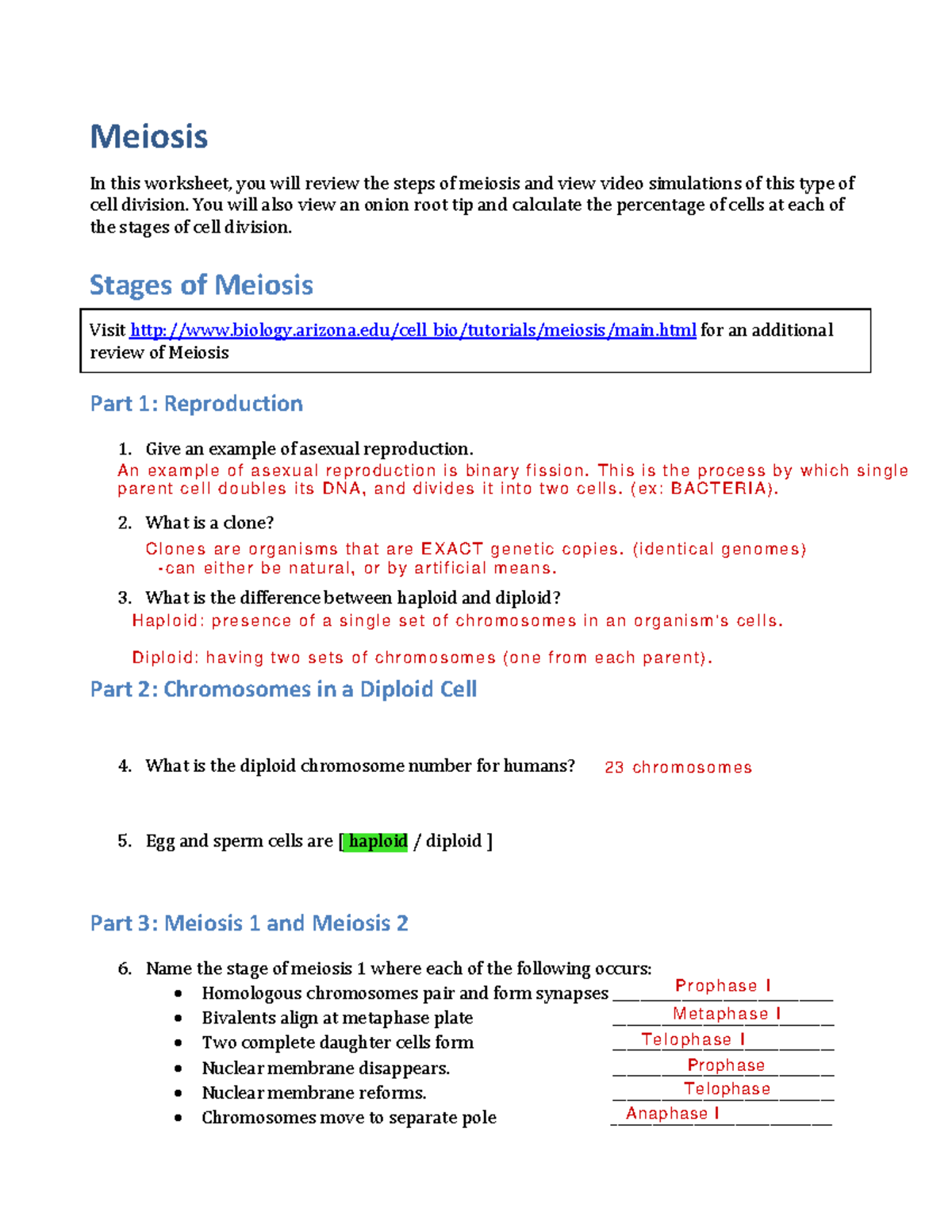Meiosis Worksheet - Homework - Meiosis In this worksheet, you will ...