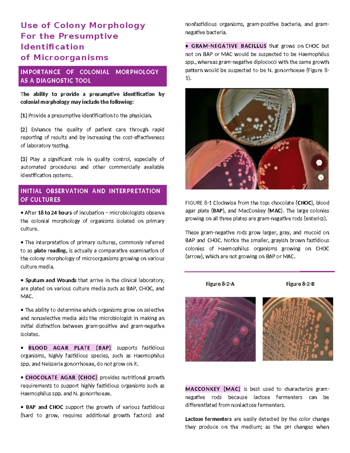 Colony Morphology for Presumptive Microorganism Identification in ...