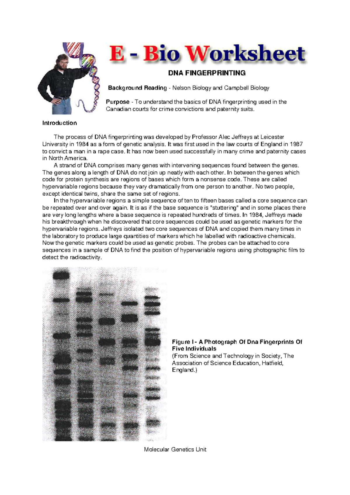 DNA Fingerprinting Practice Worksheet for Forensics Study - Studocu