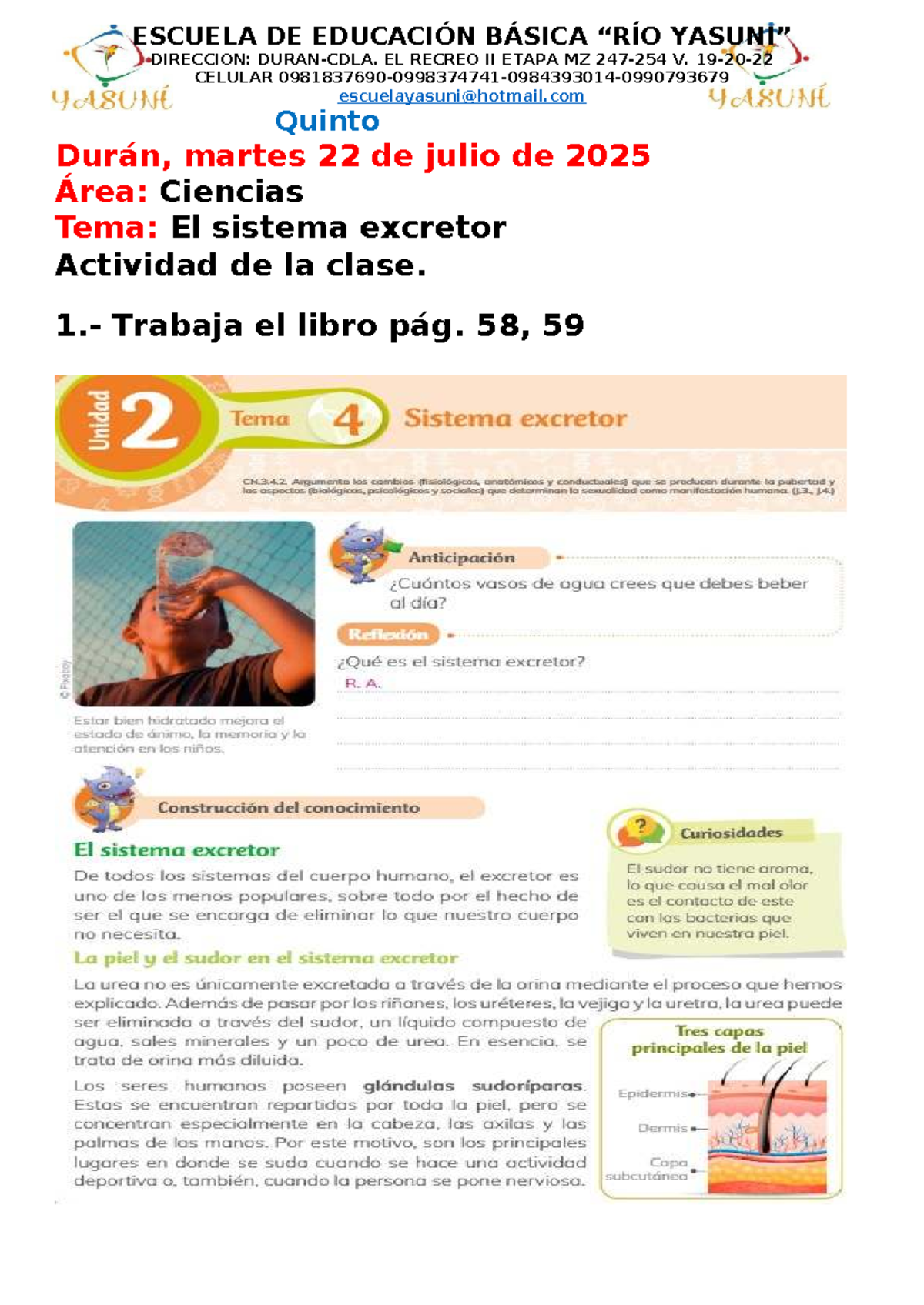 5TO CCNN 2: Actividades de Ciencias - Unidad 4, Semana 2 - Studocu