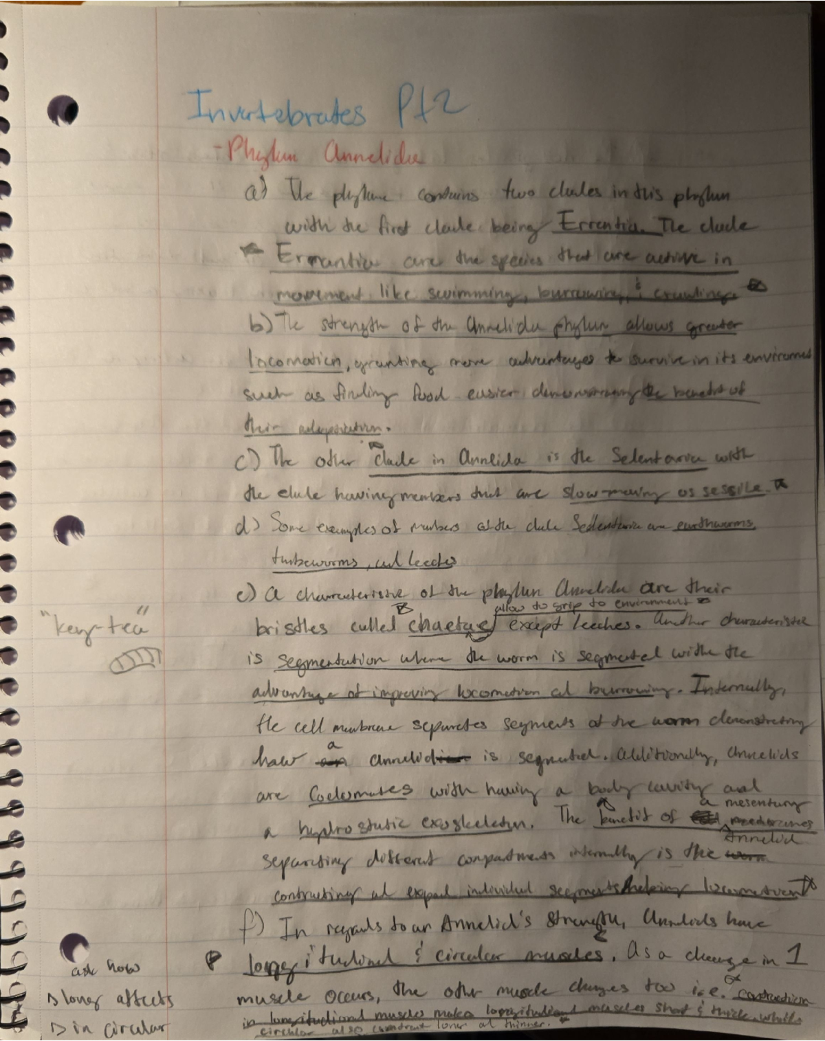 Biol 17P F - Invertebrates Part 2 Study Notes - Studocu