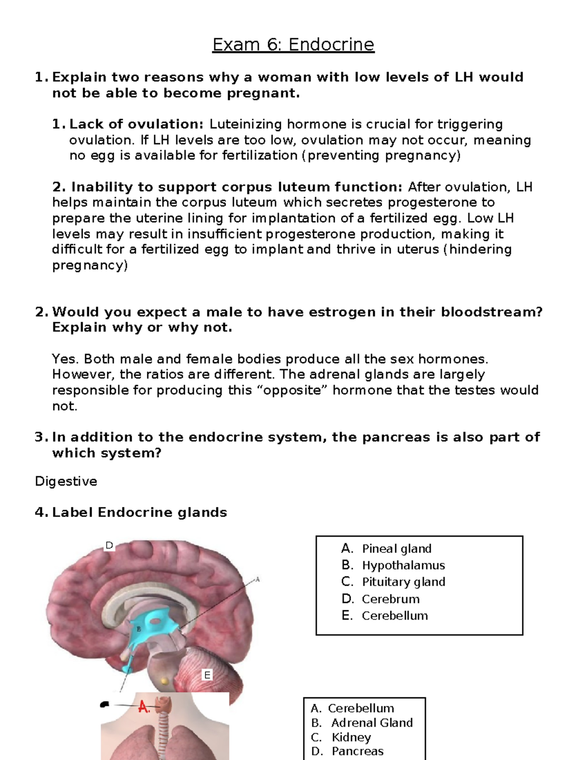 Endocrine System Exam 6 Study Guide: Key Concepts & Hormonal Functions - Studocu