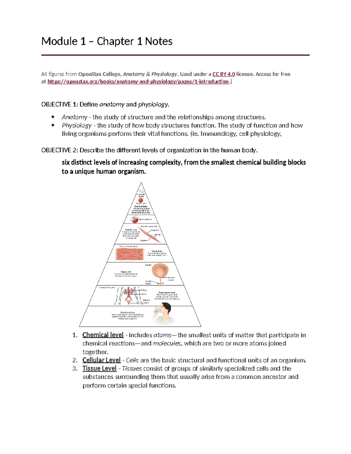 Module 1 - Anatomy & Physiology 1: Chapter 1 Study Notes - Studocu
