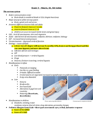 Lumbar Puncture ATI Template - NUR2310 - ACTIVE LEARNING TEMPLATES ...