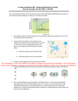 Worksheet for Analyzing a primary research article - I. Analyzing a ...
