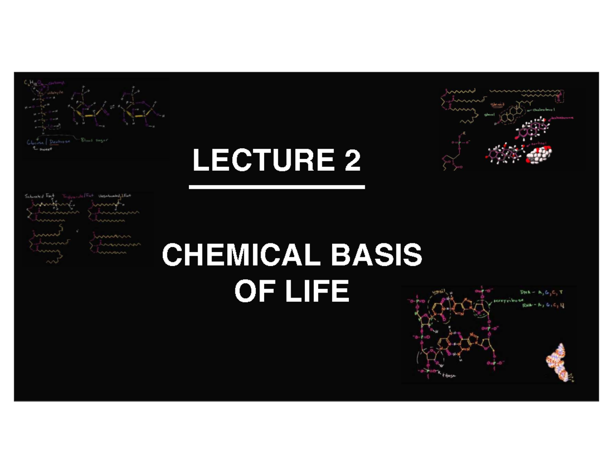 LECTURE 2: CHEMICAL BASIS OF LIFE - Biological Molecules & Functions ...