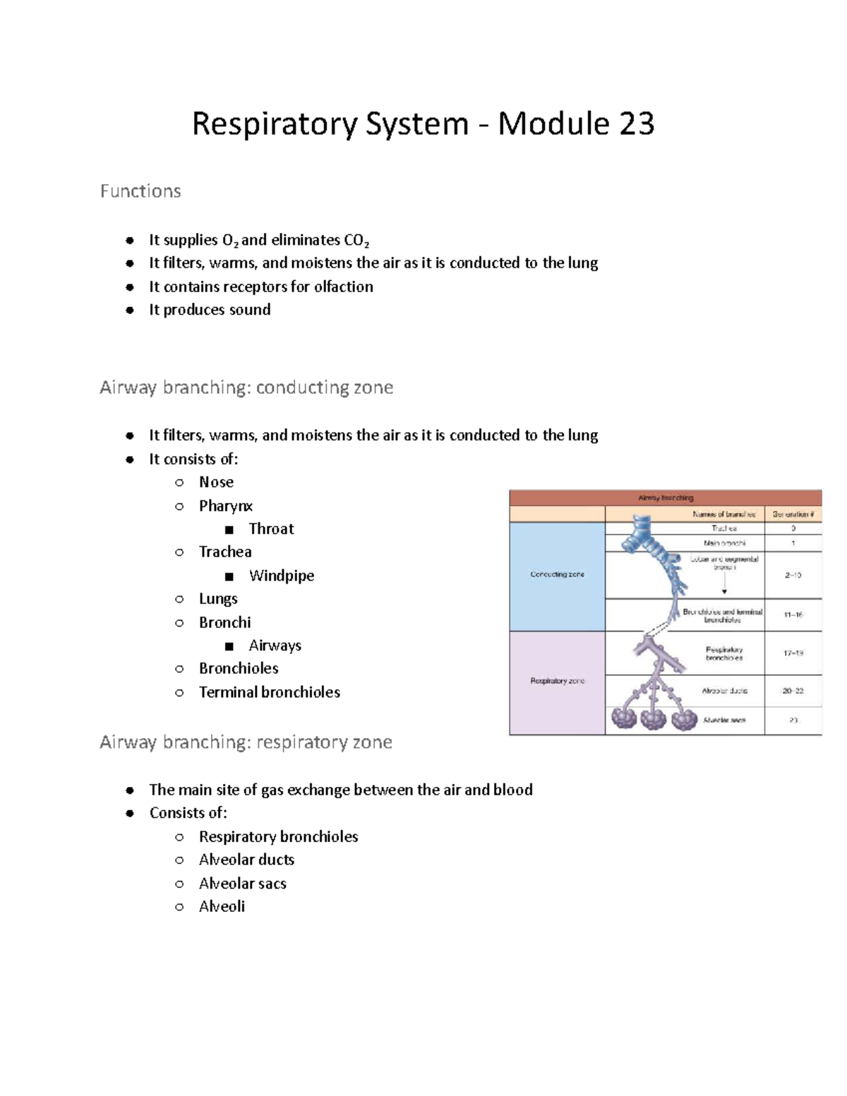 Block 3 Notes: Respiratory System & Blood Modules 23-26 Overview - Studocu