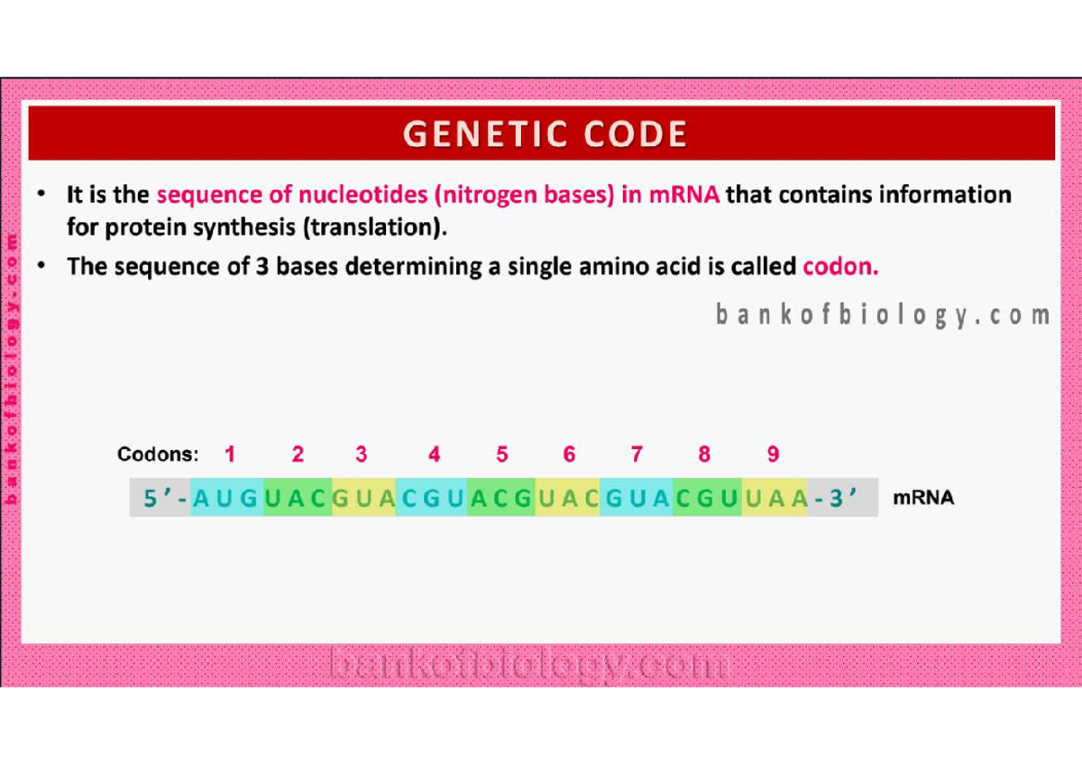 Genetic Code: Key Concepts, Codons, and Mutations in mRNA - Studocu