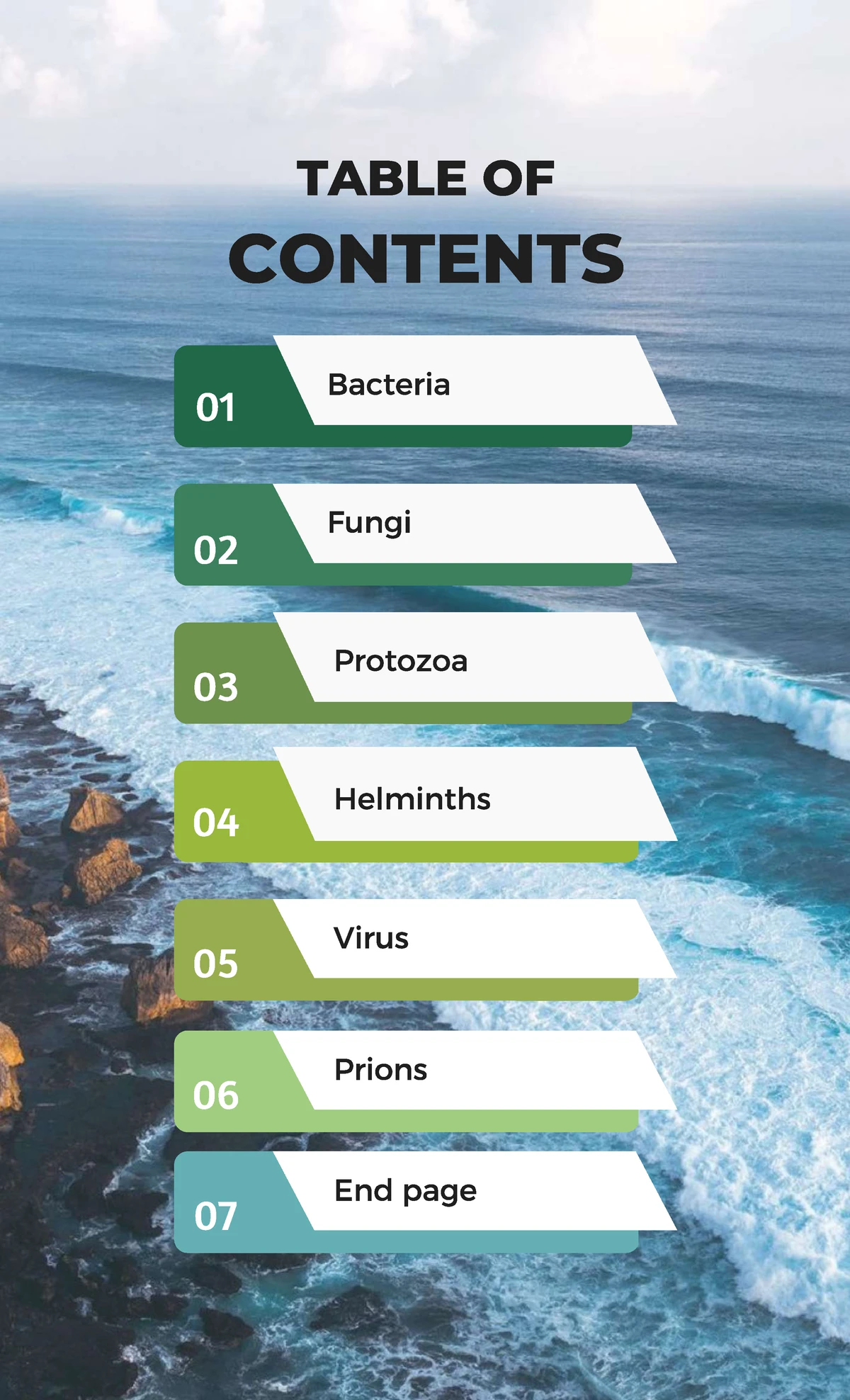 Fungi overview: eukaryotic cell types and mycoses classification - Studocu