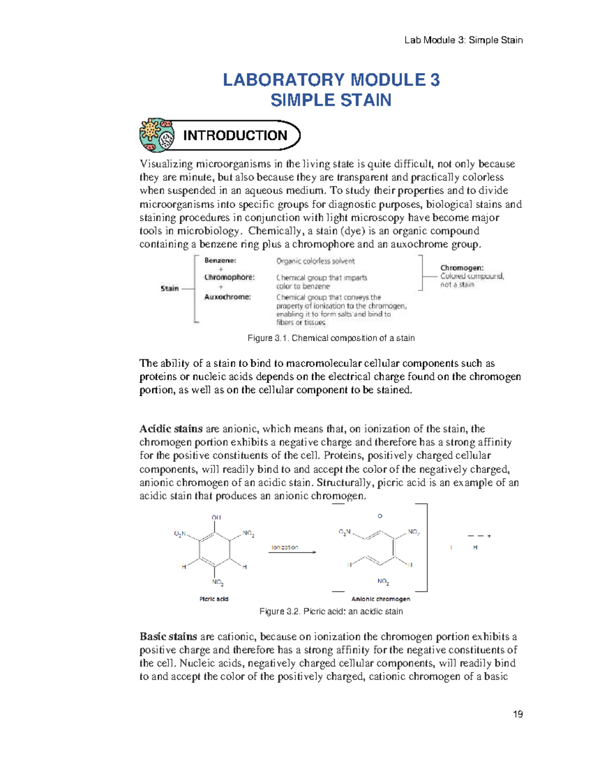 Lab Module 3: Simple Stain Techniques and Procedures - Studocu