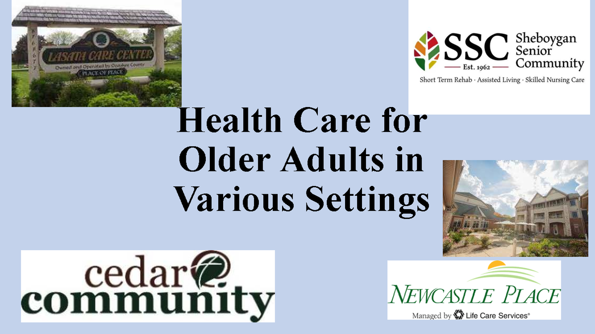 Geriatric Care Models: ACE Units & NICHE Programs for Older Adults ...
