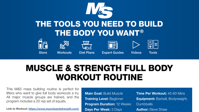 MNSFULLBODY - 12-Week Full Body Muscle Building Workout Plan - Studeersnel