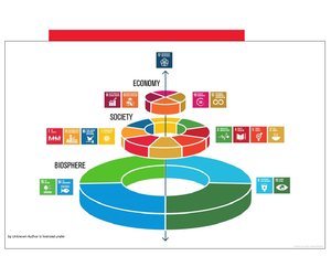 THC 3-SG1 - Quality service management - MODULE TITLE Management Module ...