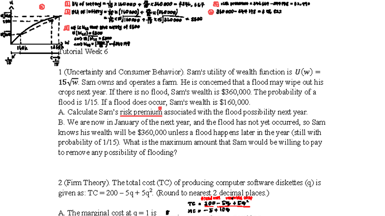 Tutorial Week 8 - Risk Premium & Firm Theory Analysis - Studocu
