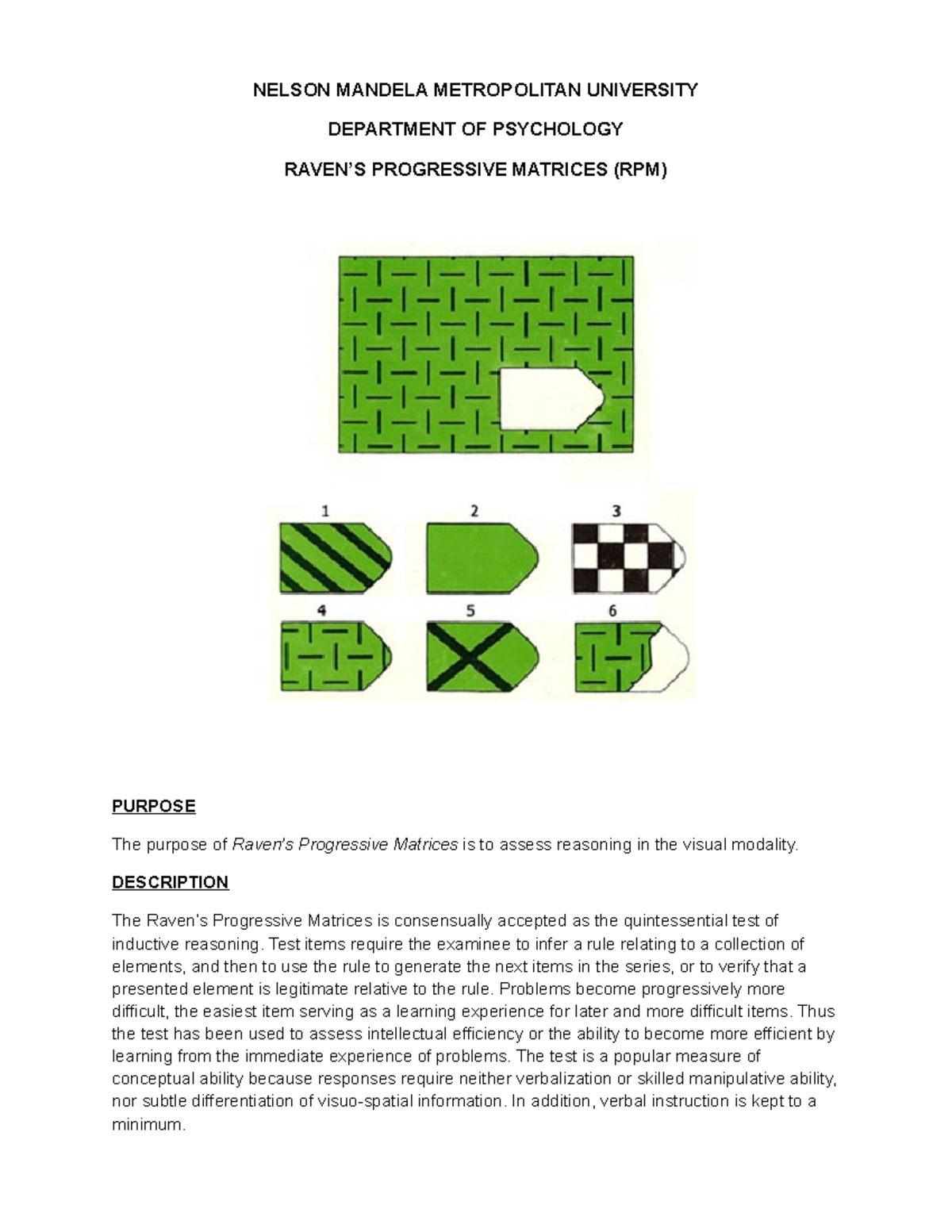 The Raven's Progressive Matrices (RPM) - 1 NELSON MANDELA METROPOLITAN ...