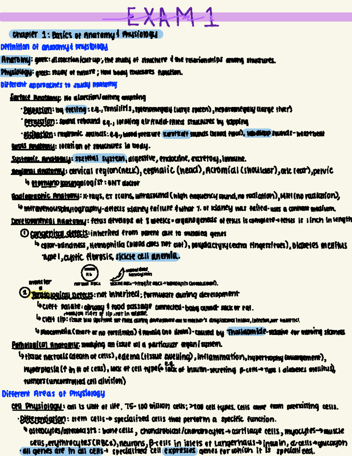 Physiology and Anatomy Study Guide: Systems Overview (E) - Studocu