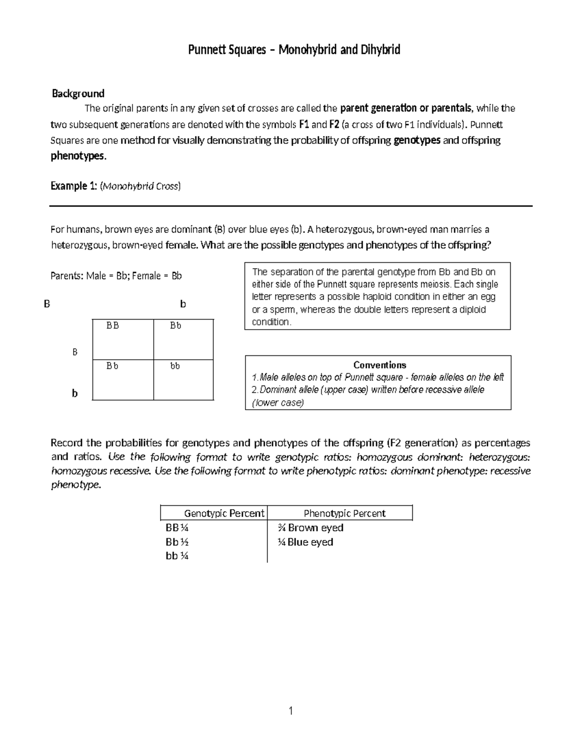 Mendelian Genetics Worksheet FA23 - Monohybrid & Dihybrid Practice ...