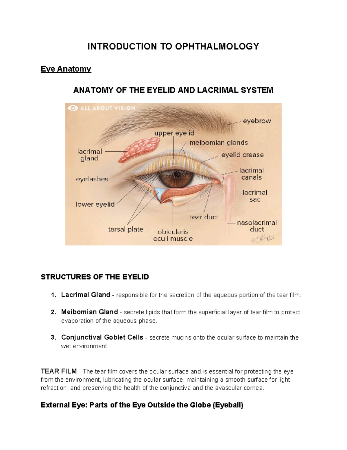 INTRODUCTION TO OPHTHALMOLOGY: Eye Anatomy & Tear Film Structure - Studocu