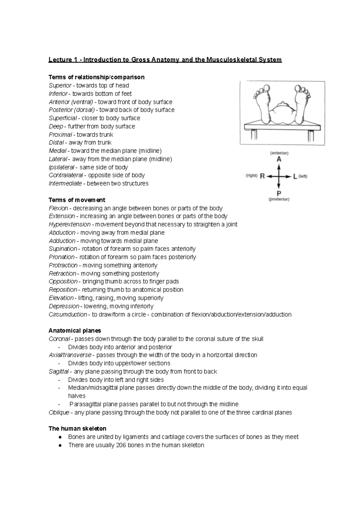 MSS Lecture Notes: Gross Anatomy, Skin & Pectoral Girdle (1-3) - Studocu