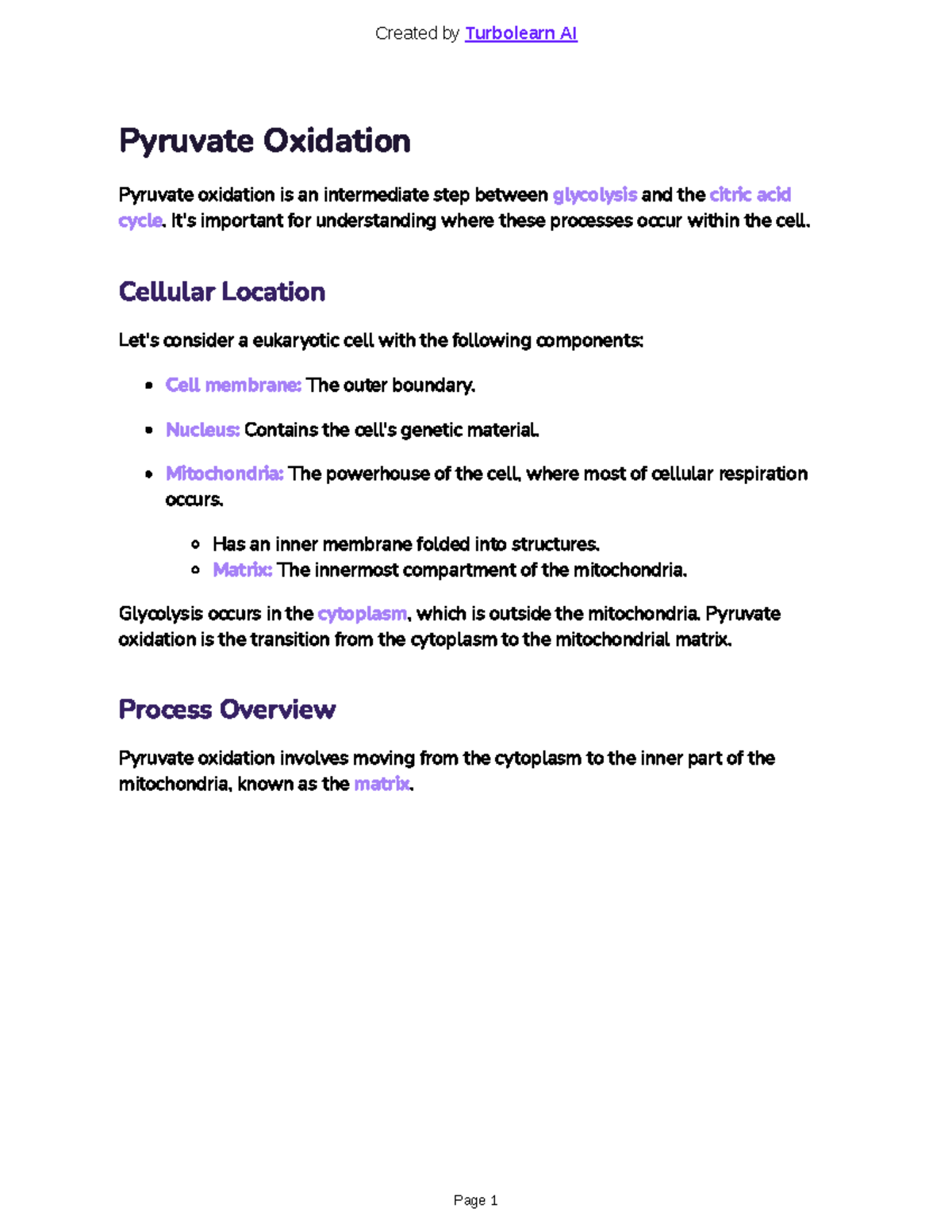 Pyruvate Oxidation Detailed Overview and Mechanisms - Pyruvate ...