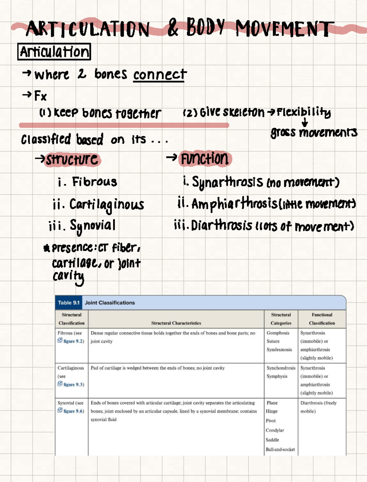 Chapter 9: Articulation and Body Movement (BIO 121) - Studocu