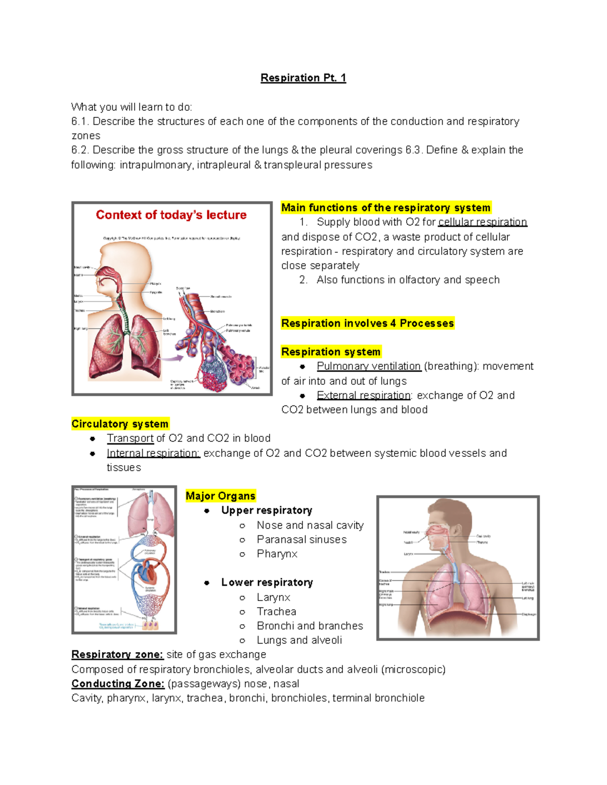 Lecture 19 - Respiration Pt. 1 - Respiration Pt. 1 What you will learn ...