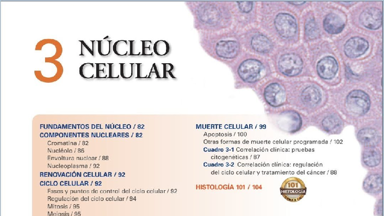 CAP 3 NÚCLEO CELULAR: FUNDAMENTOS Y REGULACIÓN DEL CICLO CELULAR - Studocu