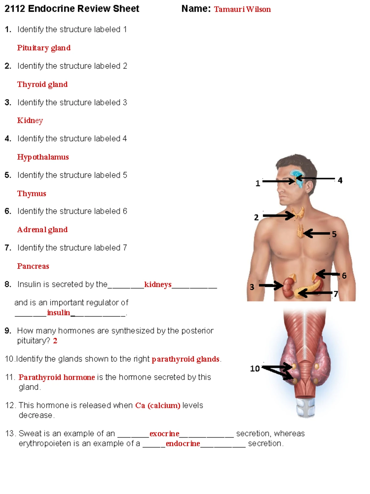 2112 Arteries 2 Review-Tamauri Wilson - 2112 Arteries 2 Review Sheet 1 ...