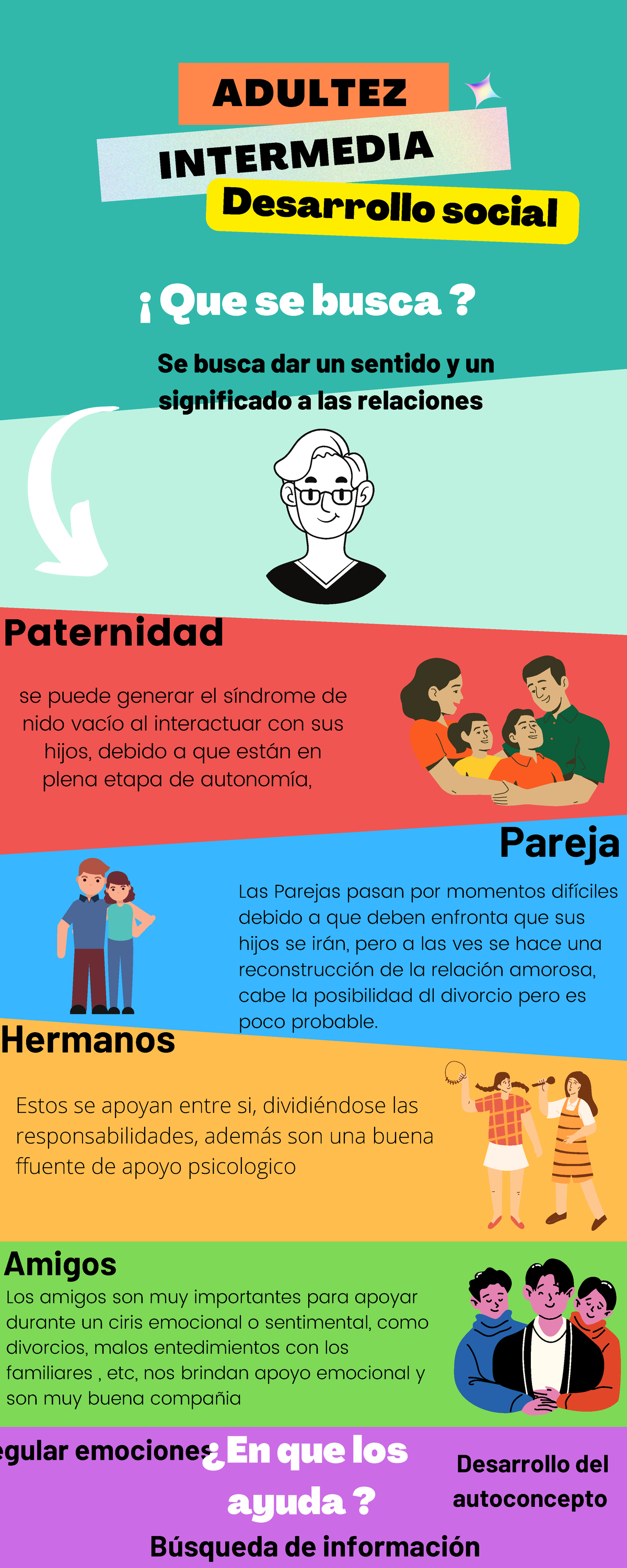 INFOGRAFÍA - ADULTEZ INTERMEDIA Desarollo social, emocional, fisico y cognitivo. - Studocu