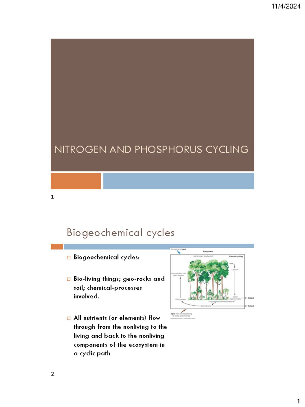 Nitrogen and Phosphorus Cycling: Understanding Biogeochemical Processes ...