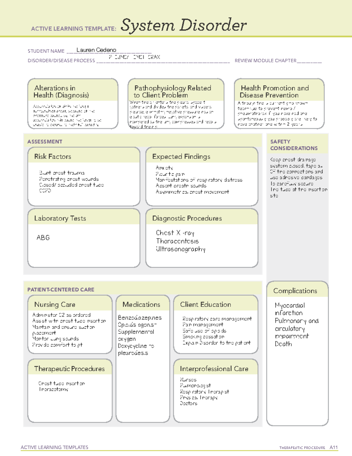 Therapeutic Procedure: Active Learning Template for Pneumothorax ...
