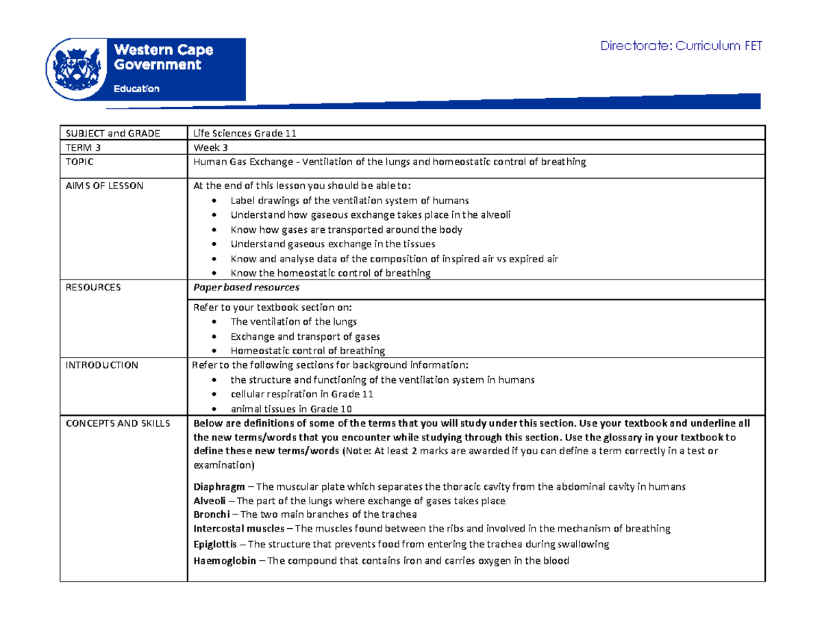 Life Sciences Gr 11 T3 W3 2020: Human Gas Exchange & Ventilation Notes ...