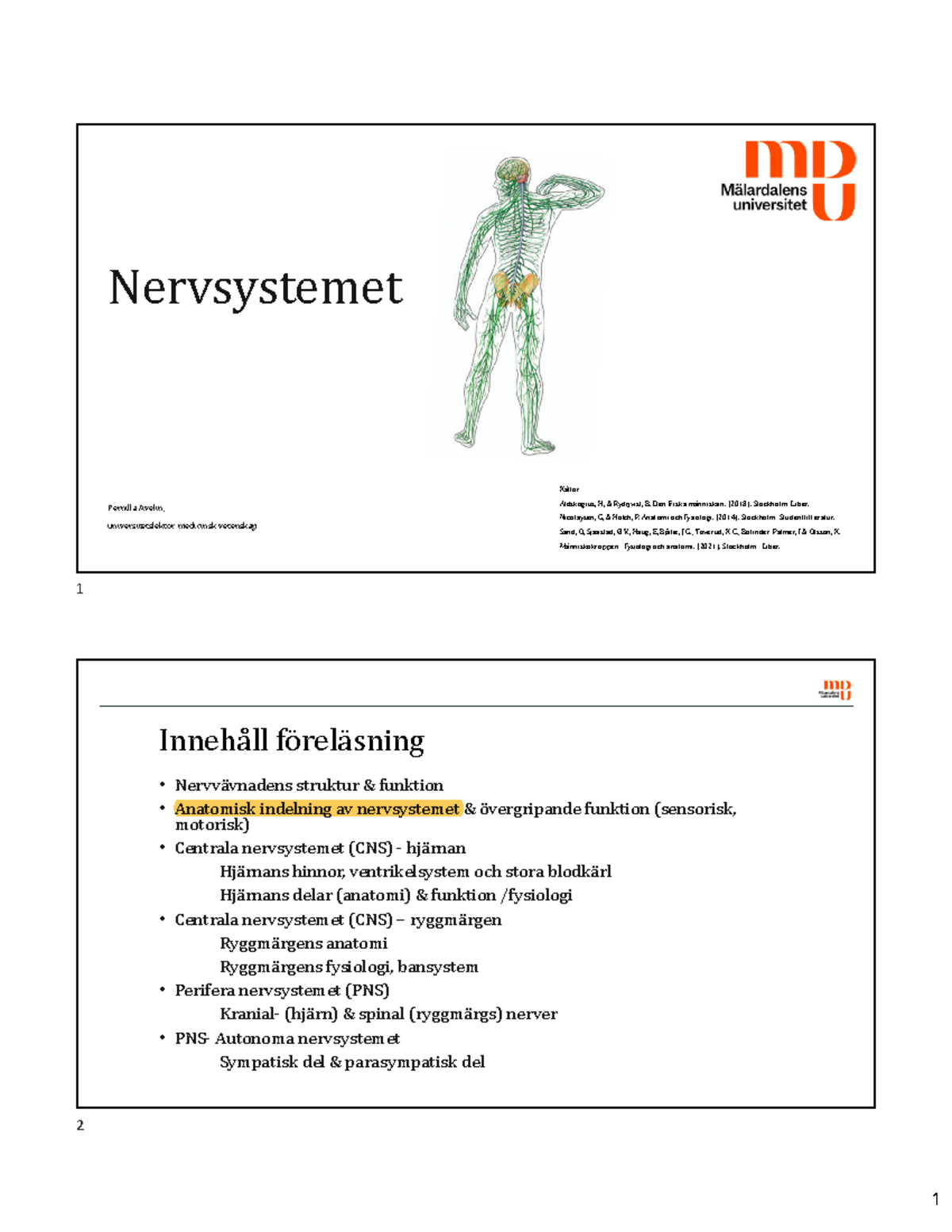 Nervsystemet: Struktur och Funktion - PowerPoint Föreläsning - Studocu