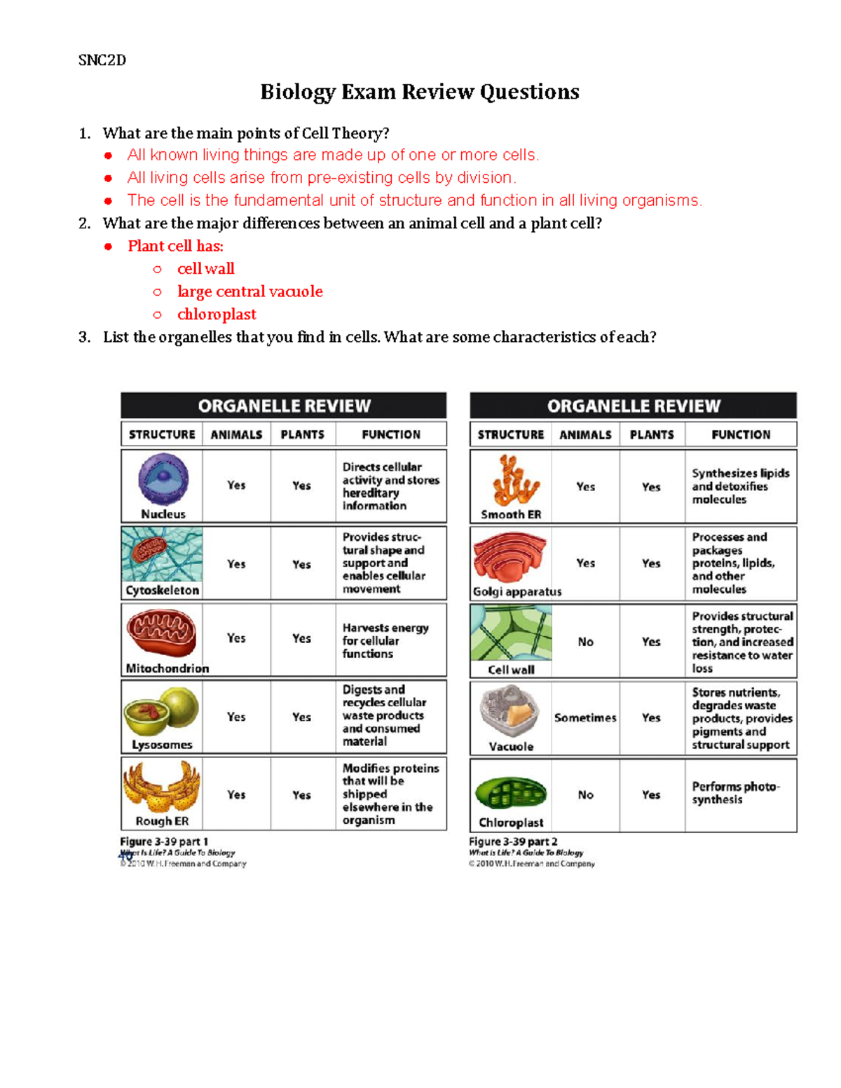 SNC2D Biology Exam Review Questions and Key Concepts - Studocu